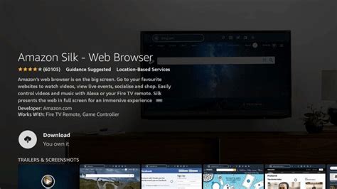 How To Watch Porn On Your Firestick For Free And Safely
