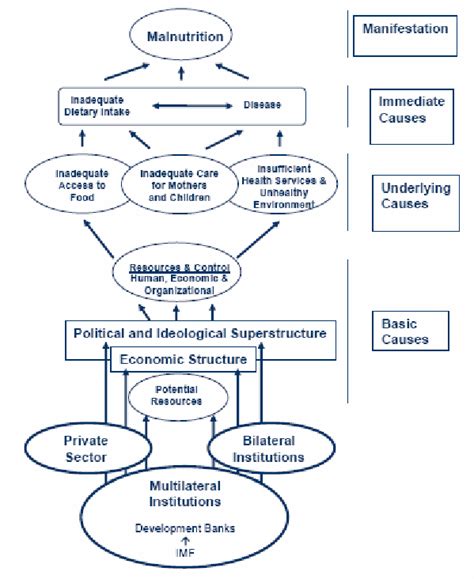 Conceptual Framework Of The Causes Of Malnutrition Download Scientific Diagram