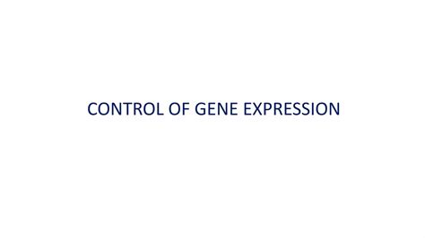 Control Of Gene Expression Ppt PPTX