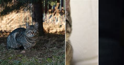 List Nestjs Curated By Panos Zafeiropoulos Medium