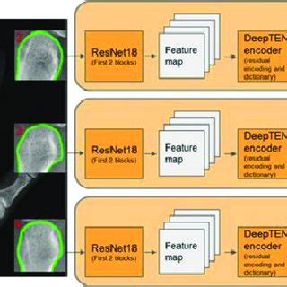 Schematic Representation Of Deep Learning Models To Extract And Encode Download Scientific