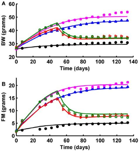 Mathematical Model Calibration Bw A And Fm B Data Were Obtained