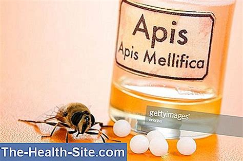 Apis Mellifica Efecte Și Aplicații 💊 Științifico Practic Medical