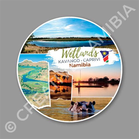 Collage Sticker Wetlands Creative Namibia
