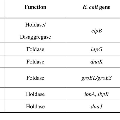 Molecular Chaperone Characteristics Download Table