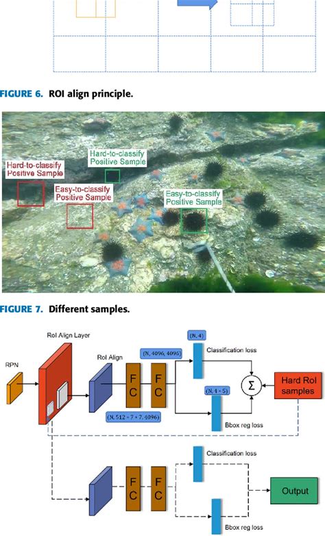 Figure 7 From Two Stage Underwater Object Detection Network Using Swin Transformer Semantic