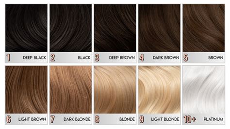 Understanding Hair Levels Light To Dark Arctic Fox Arctic Fox