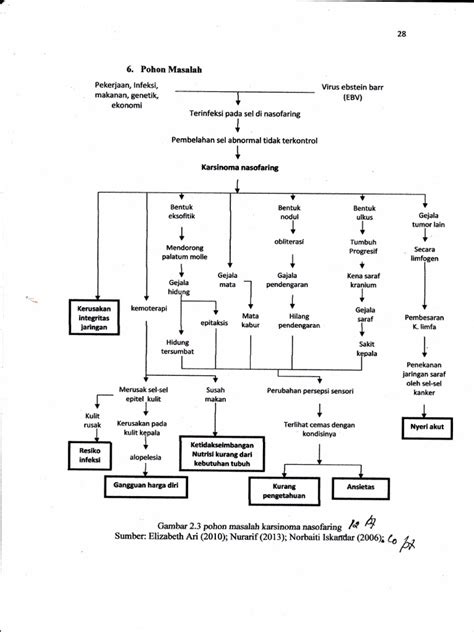 Pathway Ca Nasofaring