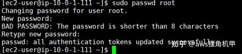 【aws】如何修改ec2虚拟主机的账号密码？开启root账号，修改ssh默认22端口 不灭的火