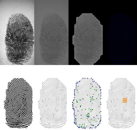 Fingerprint Recognition Algorithm Using Python