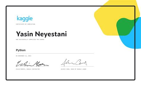 Yasin Neyestani On Linkedin Yasin Neyestani Completed The Python Course On Kaggle