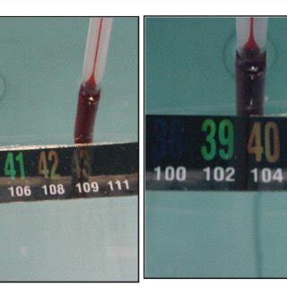 Two Examples Of Photos Of The Thermo Chemical Thermometers Calibrated Download Scientific