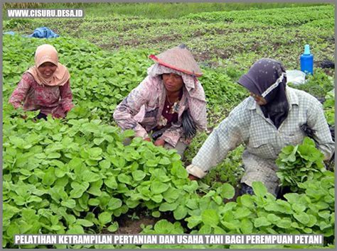Sub Apa Saja Contoh Program Pelatihan Ketrampilan Pertanian Bagi Perempuan Petani Cisuru