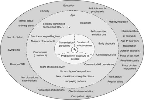 Proposed Framework Of Gonorrhea Risk From Studies Of Female Sex Worker