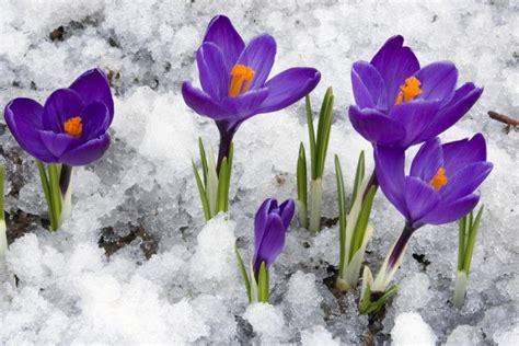 Маргаашнаас цаг агаарын хэм эрс дулаарна