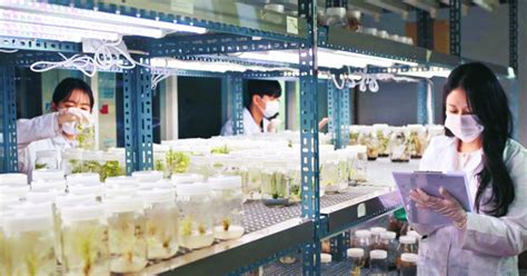 학과·전공 벽 깨고 외국 유학생 유치로 학령인구 감소 맞선다