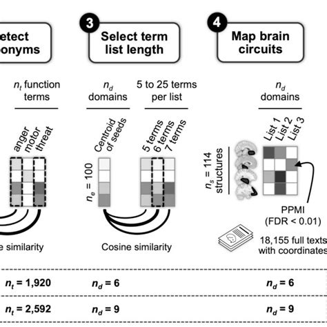 data driven ontology of brain functions related to expert determined