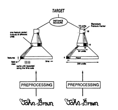 Siamese Neural Networks Peng Liu