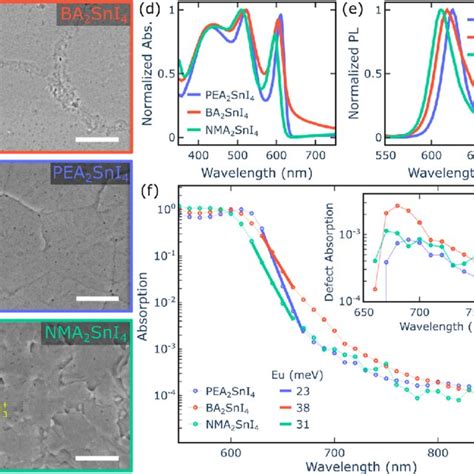 Scanning Electron Microscope Sem Images Show The Crystallization