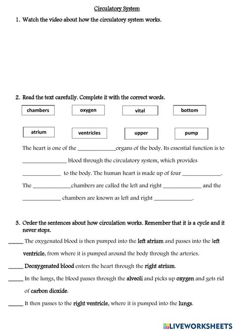 Circulatory System Worksheet Grade 6