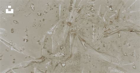 흰색과 갈색 추상 회화 사진 Unsplash의 무료 텍스처 이미지