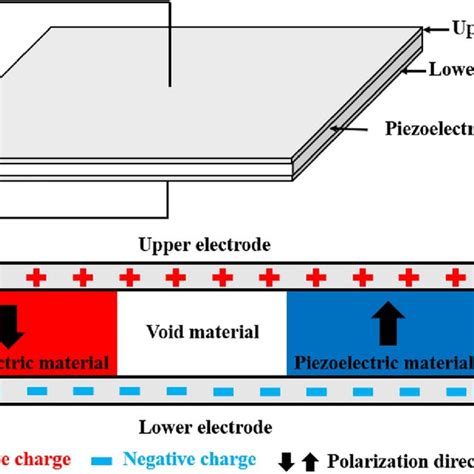 Example 1 A The Piezoelectric Actuator B Two Different Initial Download Scientific Diagram