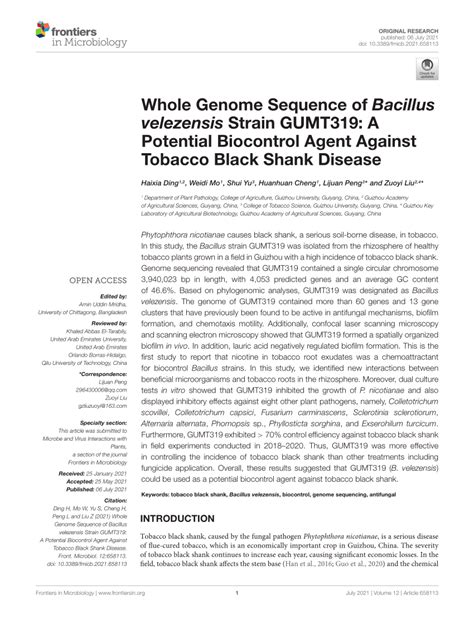 Pdf Whole Genome Sequence Of Bacillus Velezensis Strain Gumt319 A