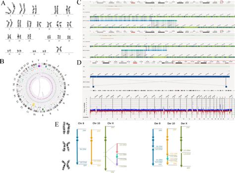 Identification Of Complex And Cryptic Chromosomal Rearrangements By Optical Genome Mapping Pmc
