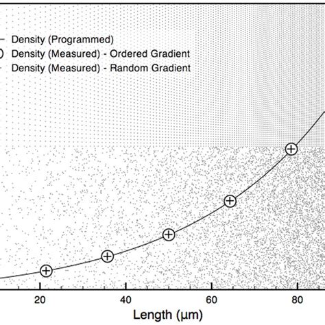 Ordered And Random Dngs Superposed With Their Programmed Exponential Download Scientific