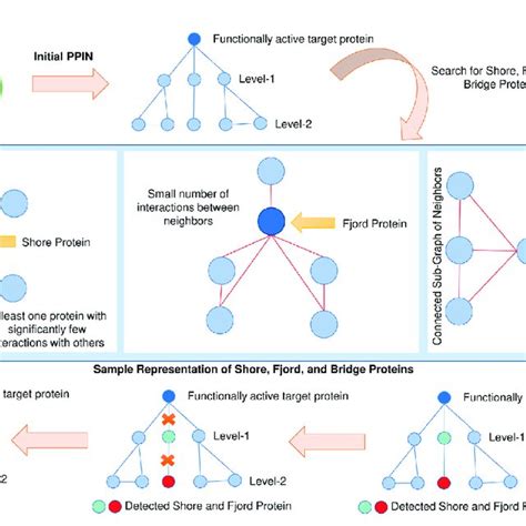 Pruning Of Target Neighborhood Graphs Bridge Fjord And Shore Download Scientific Diagram