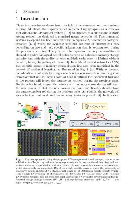 On Device Synaptic Memory Consolidation Using Fowler Nordheim Quantum Tunneling Deepai