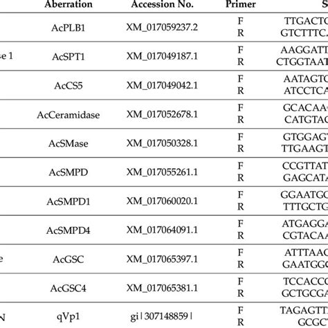 Primers Used In Reverse Transcription Pcr And Quantitative Rt Pcr
