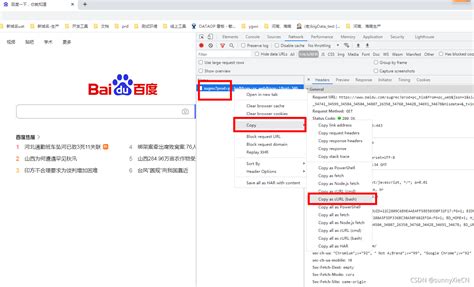 转换curl 为 Python、java等其他语言调用 在线工具，无需安装 Convert Curl Csdn博客