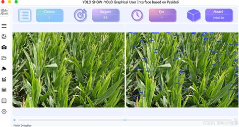 基于yolo11的农业玉米雄蕊精准定位系统（python源码数据集pyside6界面） Csdn博客