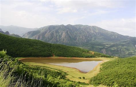 Pine Albania Liqeni I Dushkut