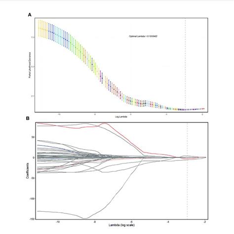Radiomics Feature Selection Using The Lasso Regression Model In The