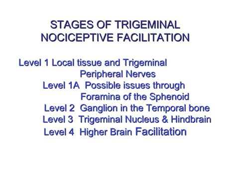 Session For Trigeminal Nociceptive Facilitation Ppt