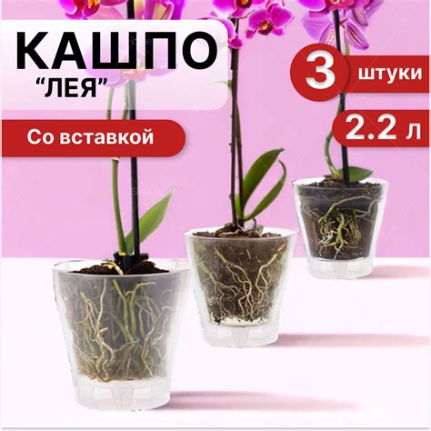 Горшки Для Орхидей купить на OZON по низкой цене