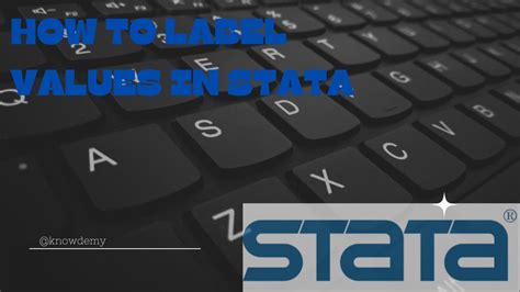 How To Label The Values Of Categorical Variables Youtube