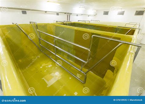 Fermenting Pool Stock Image Image Of Inside Modern 37610935