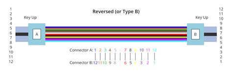 Polarity Basics Optical Fiber Networks