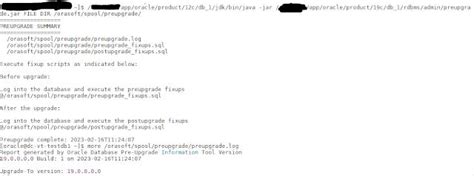 Oracle Database Upgrade 12c To 19c With Physical Standby Database Using