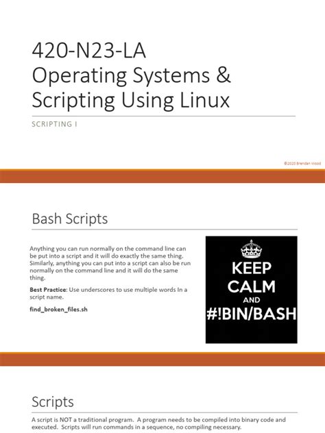 420 N23 Operating Systems Topic 14 Scripting I Pdf Parameter