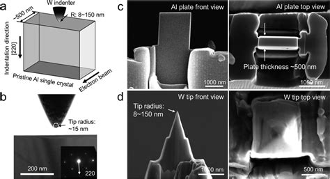 The Experimental Setup For In Situ Nanoindentation A Schematic