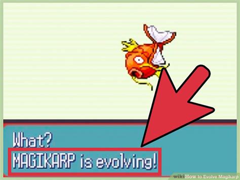 How To Evolve Magikarp Steps With Pictures Wikihow