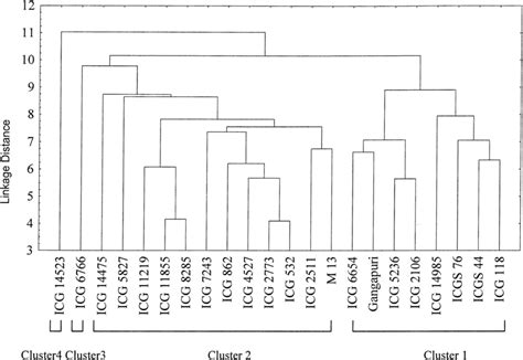 dendrogram of 18 selected germplasm lines and four control cultivars