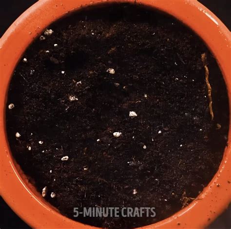 Tamara Stankovic On Linkedin Naturelovers