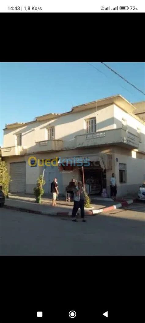 Sell Villa Sétif Ain Azel Sétif Real Estate Development Algeria