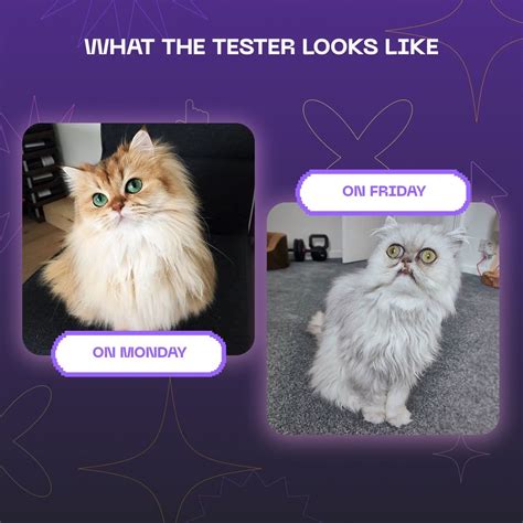 Kvchk On Linkedin Testers Testing Testerslife