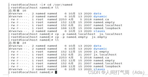 运维小白必学篇之基础篇第十八集：dns和dhcp中继实验作业 dns中继 csdn博客